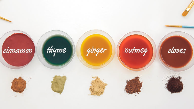 Fall Spice Paintings