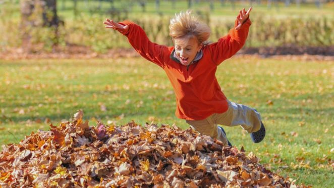 30 Fun Fall Activities That Aren't Apple Picking or Corn Mazes